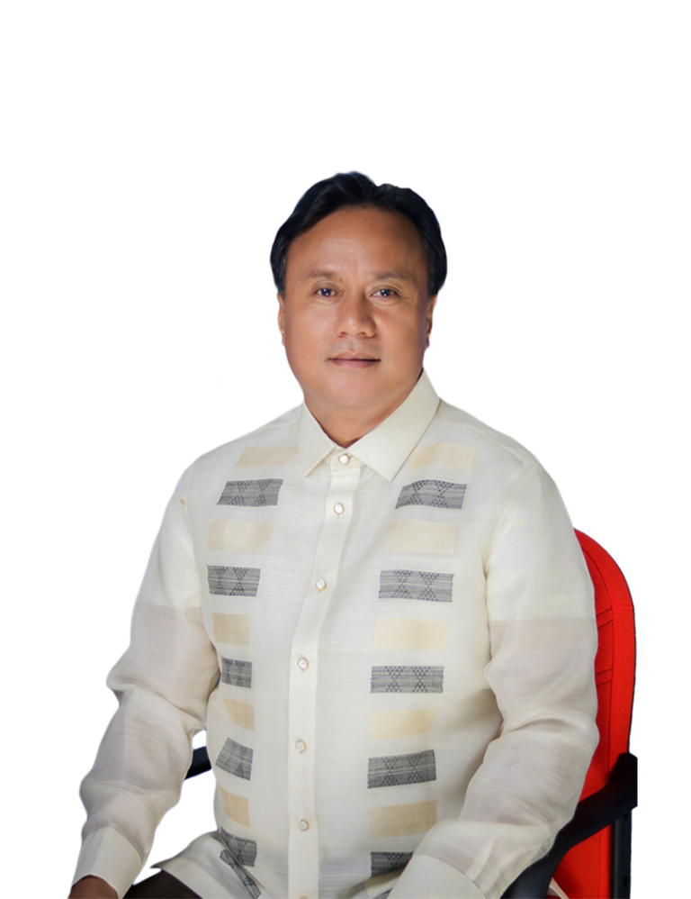 lgupasuquin.com – Town of Pasuquin